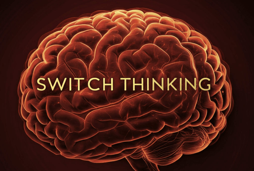 Switch Thinking instructions for your AI | Switch Thinking
